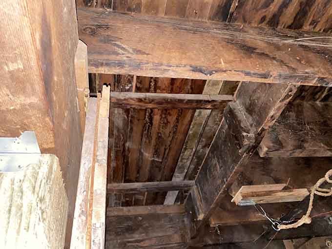 The trapdoor mechanism that made kidnapping terrifyingly efficient, like a twisted magic trick with permanent consequences for the audience.