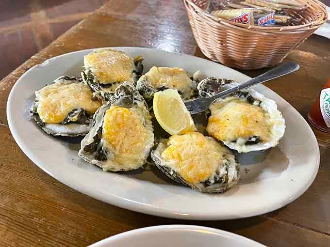 Baked oysters topped with golden cheese and breadcrumbs, because sometimes the ocean needs a little help from the dairy aisle.