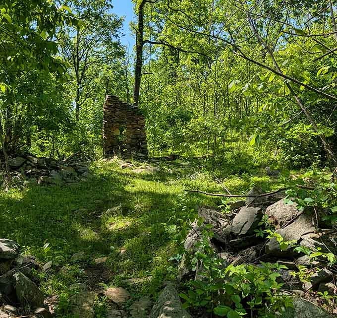 Stone ruins whispering stories from centuries past, no history degree required to appreciate them.