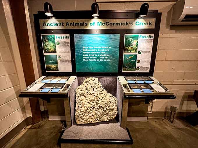 Ancient seas once covered this spot, and the fossils embedded in limestone prove it wasn't always cornfields.