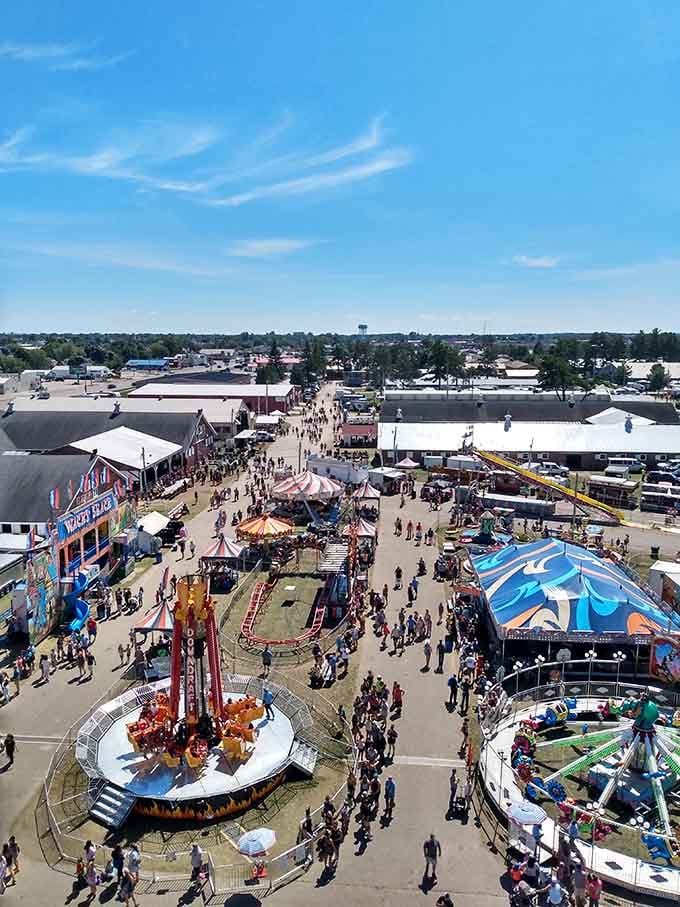 The U.P. State Fair transforms Escanaba into a whirlwind of cotton candy dreams, carnival rides, and the annual question: "Should I really eat that?"