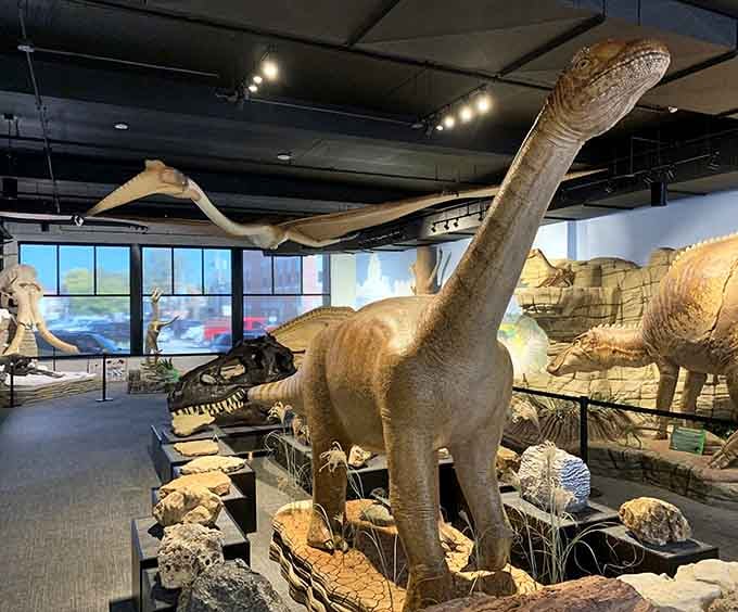 Even dinosaurs appreciate good architecture, apparently, though they missed Ste. Genevieve's heyday by a few million years.