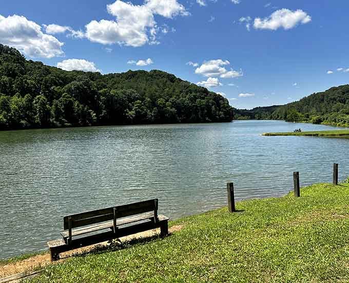 The loneliest bench with the million-dollar view, perfect for contemplating life's mysteries or just your lunch plans.