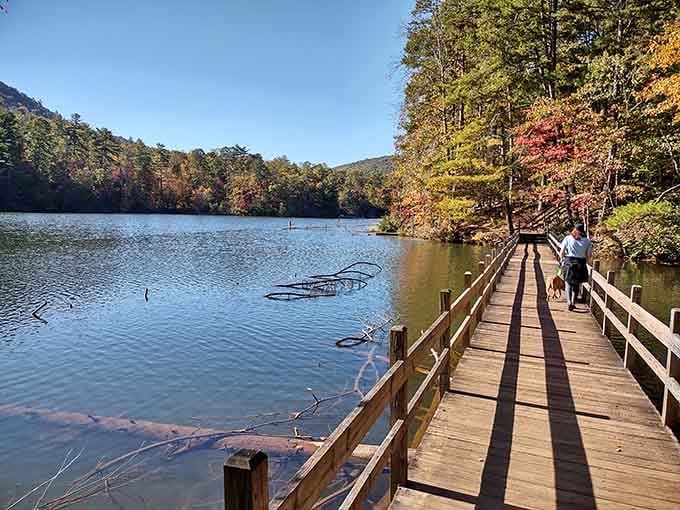 This peaceful boardwalk at Tallulah Gorge State Park leads you straight into nature's embrace, mountains reflected in still waters below.