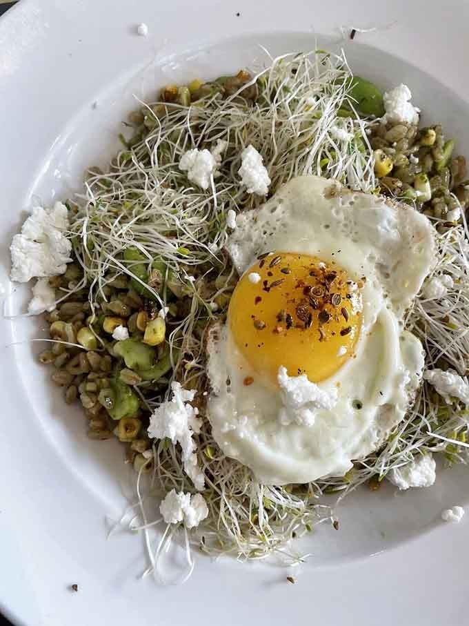 That golden yolk sitting atop grains, sprouts, and crumbled cheese proves healthy eating doesn't have to be boring.
