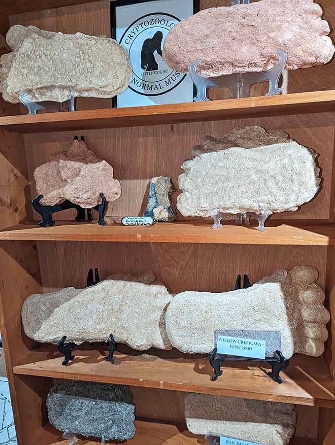 Bigfoot footprint casts from various locations remind you that something big might be walking around out there after all.