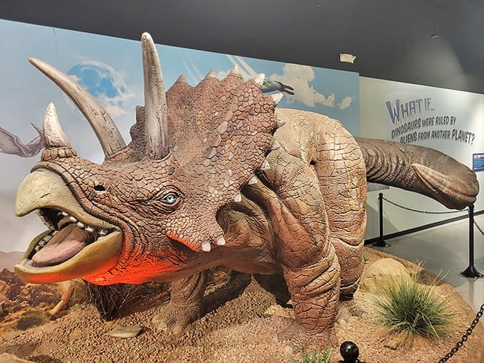 An animatronic triceratops that looks ready to charge, because apparently dinosaurs and desert mysteries go together like peanut butter and jelly.