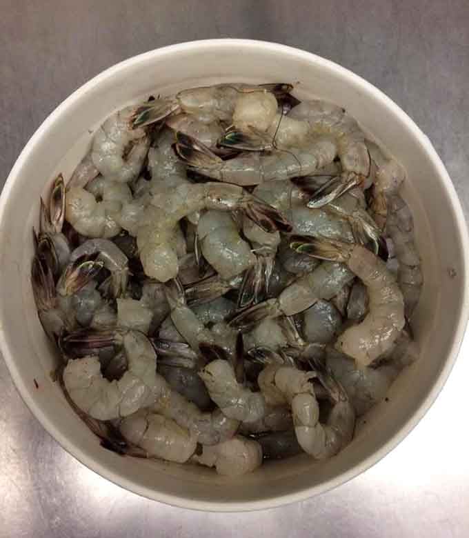 Fresh shrimp so pristine they're practically translucent—this is what "straight off the boat" actually looks like.