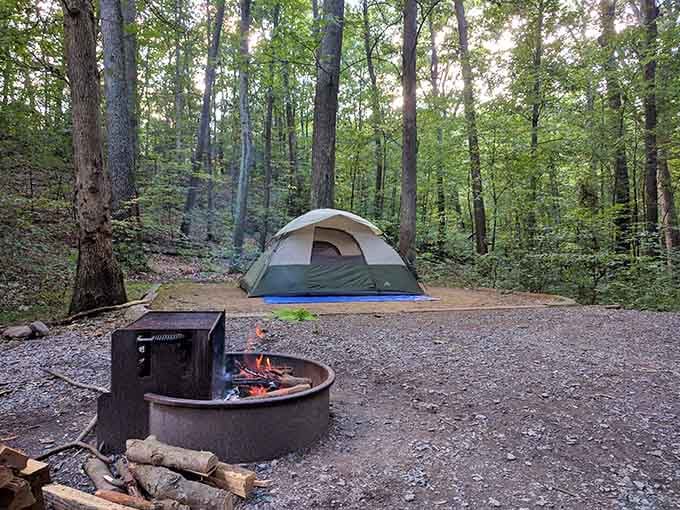 Campsite serenity includes a fire ring and forest views, the kind of setup that makes roughing it feel civilized.