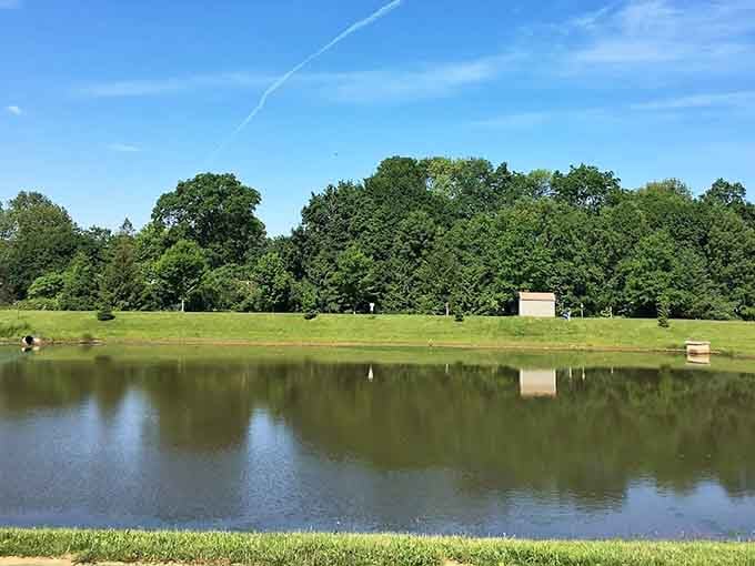 The lake reflects surrounding trees like nature's own mirror, creating postcard-worthy views year-round.