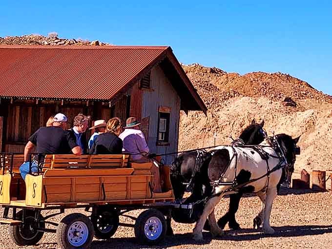Horse-drawn wagon tours beat any theme park ride, offering authentic Old West transportation with actual horsepower.