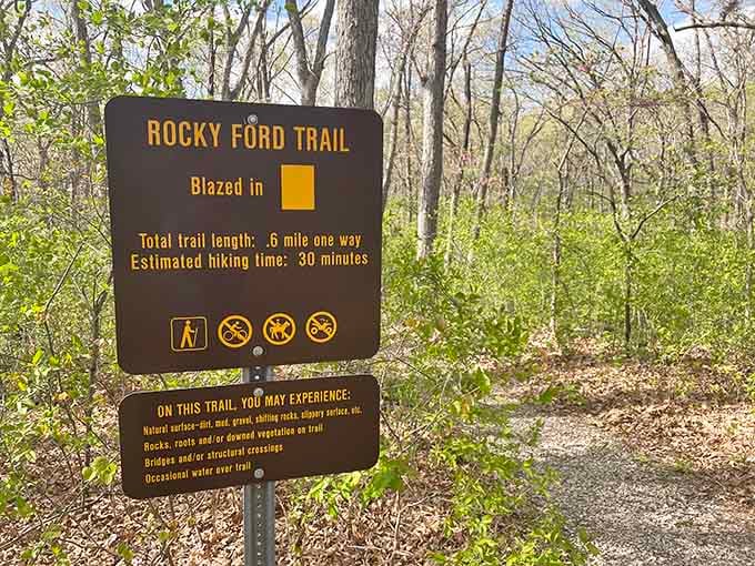 Summer's vibrant greens frame the lake perfectly, making every photo look like a professional landscape shot.