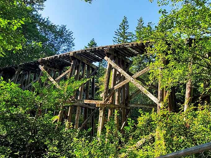This old railway trestle stands as a reminder that sometimes the journey really is more interesting than the destination.