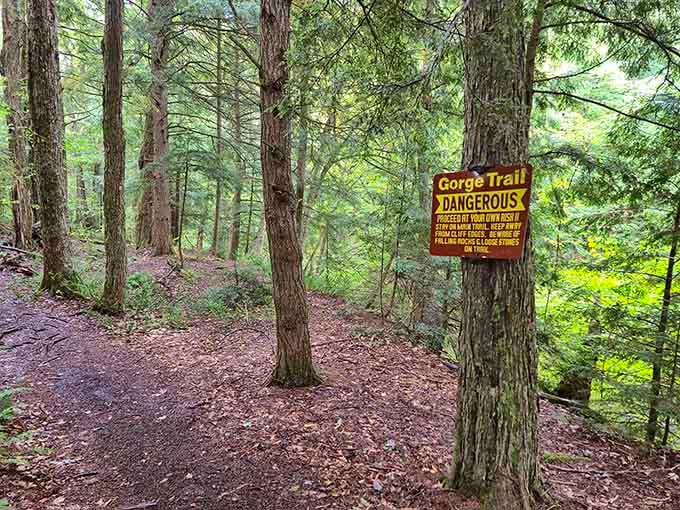 That "Gorge Trail Dangerous" sign isn't kidding around, but the adventure is absolutely worth the careful steps.