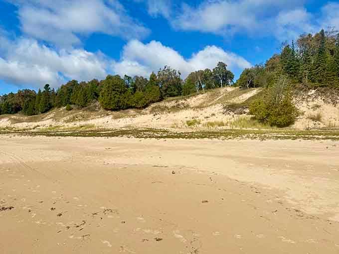 Sand dunes rising like Wisconsin's answer to the Sahara, minus the camels and with significantly better swimming.