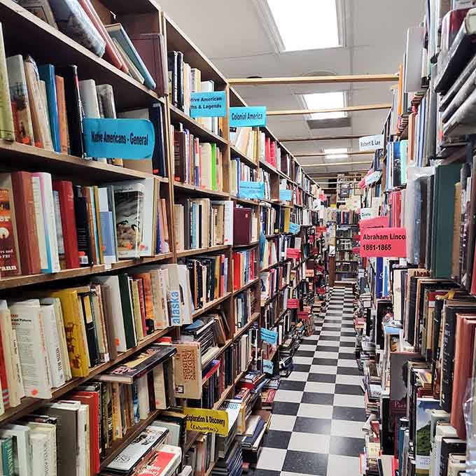 History buffs rejoice: these towering shelves hold stories and knowledge spanning centuries of American experience and culture.
