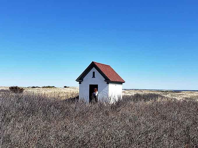 That little maintenance shed has weathered more storms than most buildings will ever see in their lifetime.