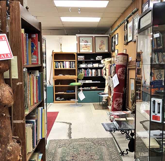 The bibliophile's corner, complete with vintage area rug and reading nook vibes. Books that survived decades before Kindles existed deserve this kind of respect.