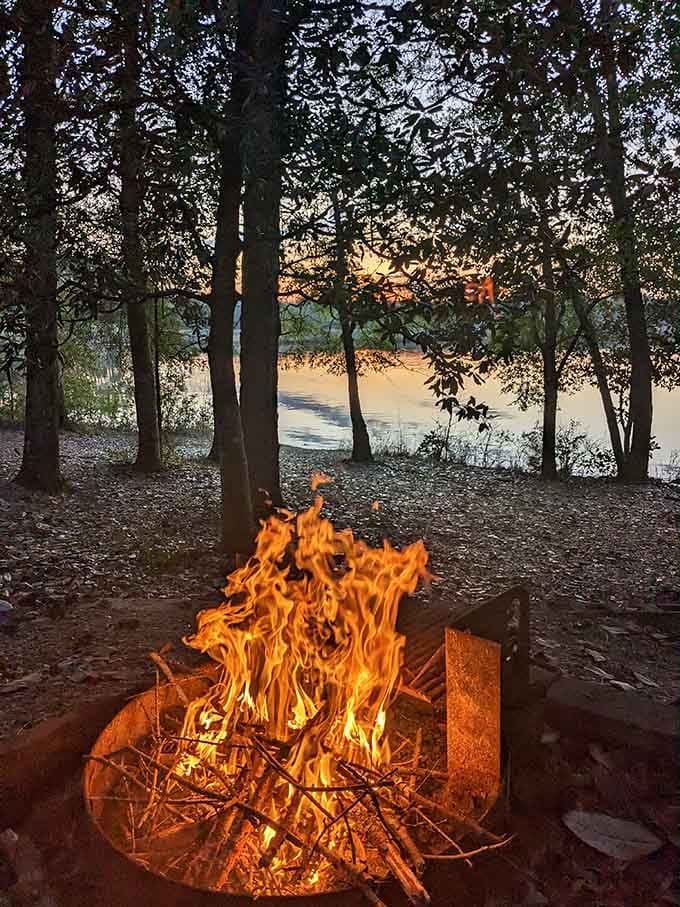 Campfire magic: where ghost stories get better, marshmallows get toastier, and smartphone addiction gets temporarily cured.
