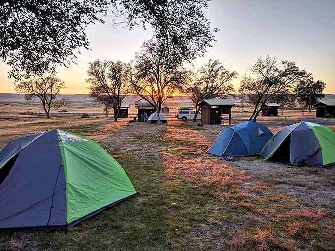 Sunrise paints the campground in golden hues, transforming ordinary tents into a village of colorful jewels against the desert canvas.