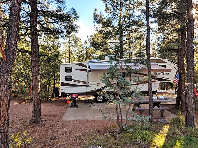 Glamping meets wilderness at Fool Hollow's RV sites. All the comforts of home with pine-scented air conditioning that money can't buy in the city.