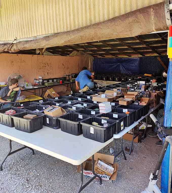 Organized chaos at its finest—plastic bins filled with potential treasures waiting for the right shopper to discover that one perfect item.