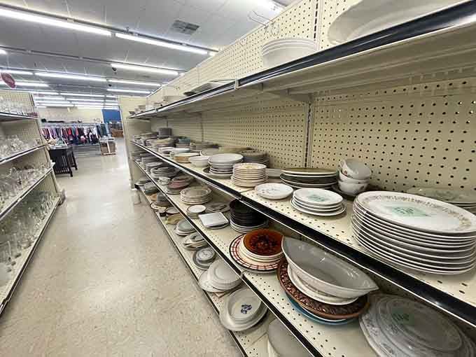 Dish department: Where your grandmother's china pattern and that plate from your favorite 1980s restaurant reunite in porcelain harmony.