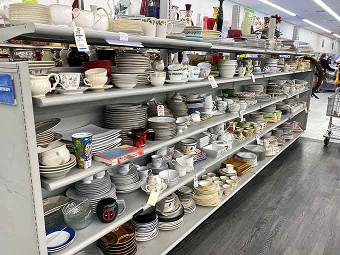 Dish-covery zone: Where mismatched becomes "eclectic collection" and your dinner party gets an instant conversation starter for less than takeout costs.