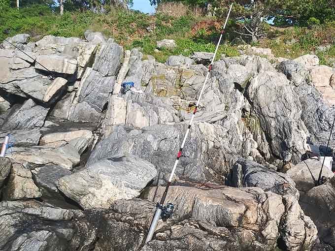 These rocky outcroppings aren't just scenic—they're nature's fishing platforms where patience meets possibility with every cast.