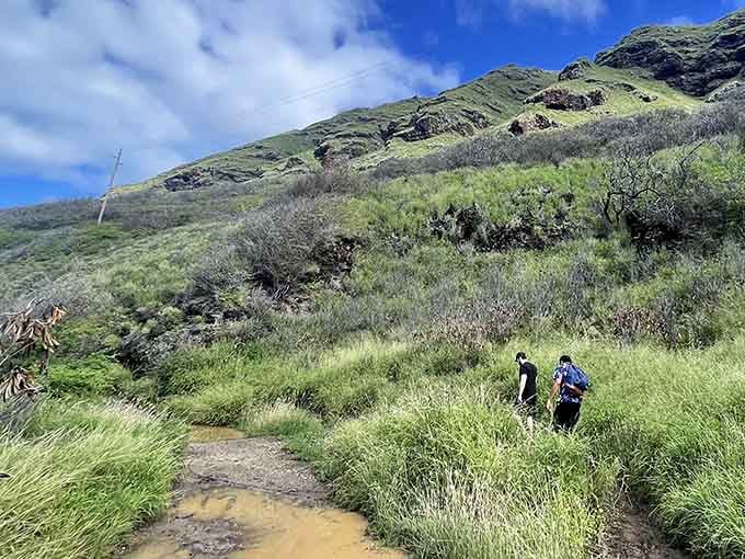 The journey's starting point: where civilization ends and your Ka'ena Point adventure begins. Last chance for air conditioning!