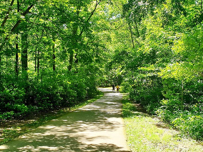 This shaded pathway invites exploration, promising cool forest air and the distant symphony of rushing water just around the bend.