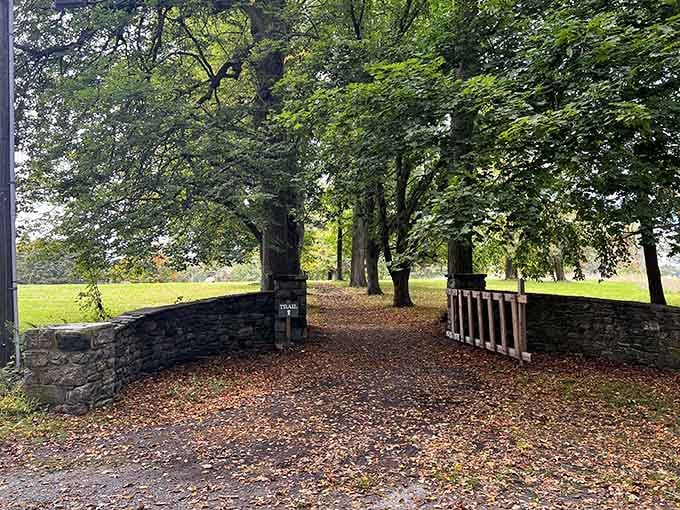 Autumn's carpet of leaves creates a magical entrance to woodland trails. Like stepping into a New England fairy tale, minus the witches.