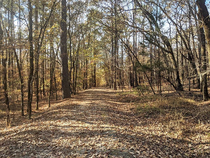 Wander these serene trails when your diamond-hunting muscles need a break. Mother Nature's own meditation path.