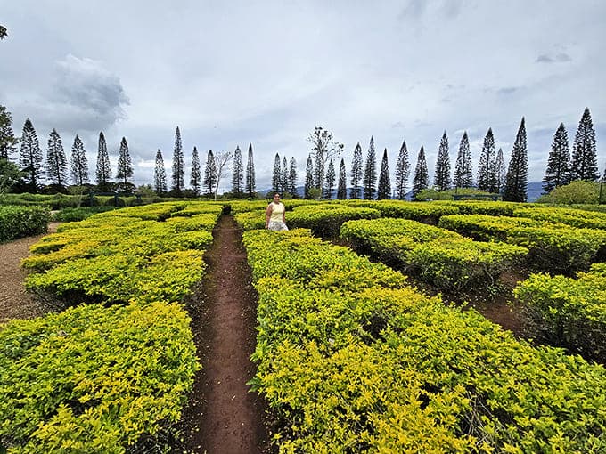 Paradise pathways: Lush tropical foliage creates natural walls that transform a simple walk into an immersive journey through Hawaiian flora.