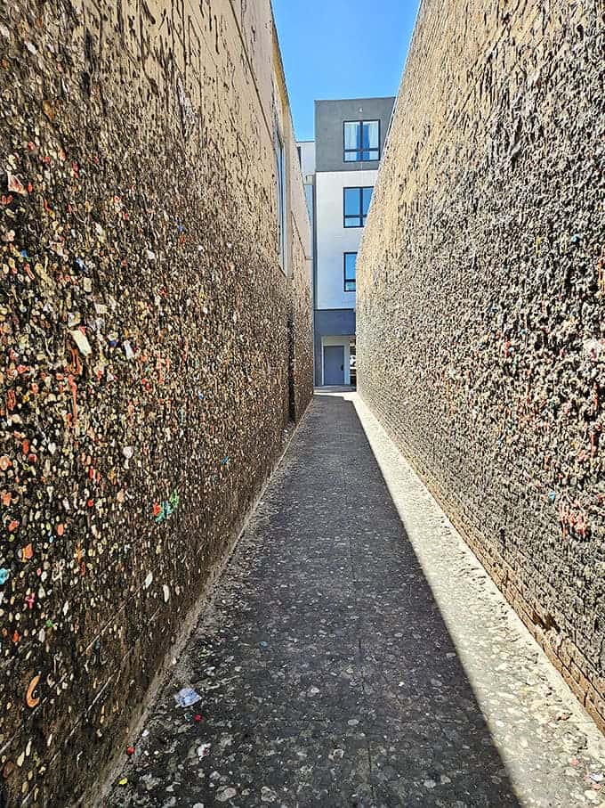 The stickiest alley in America where chewed gum becomes colorful folk art on every surface.