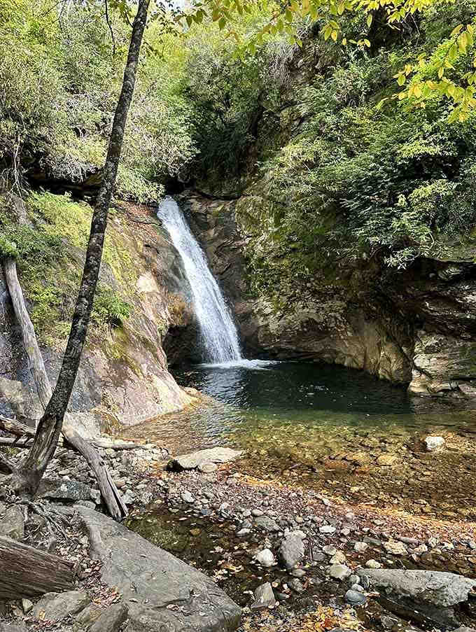 Nature's private swimming hole tucked into moss-covered rocks, where crystal-clear water invites you to test your cold-water courage.