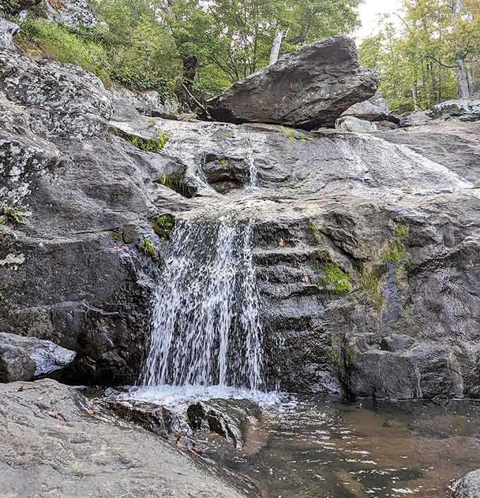 Moss clings to weathered stone as water pours through natural channels, creating an intimate cascade worth the climb.