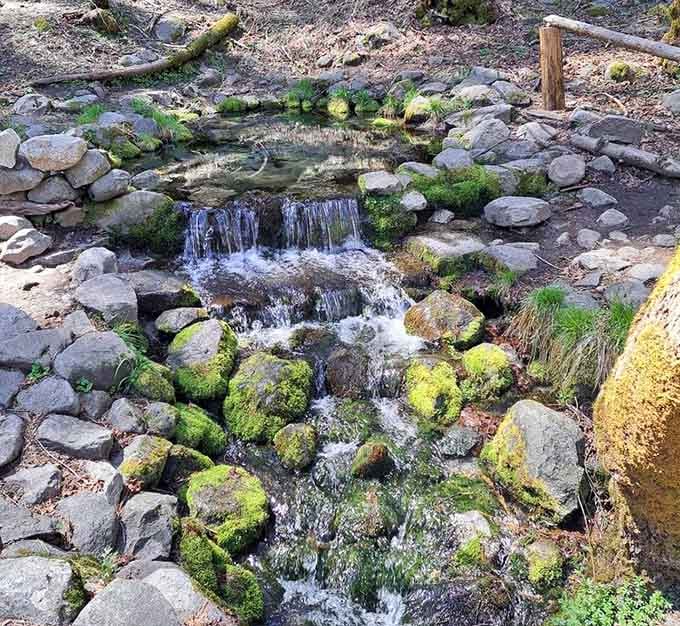 Moss-covered rocks and gentle cascades make this roadside gem look like a postcard that came to life right here.