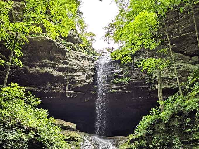 Fresh spring growth bursting along the riverbanks signals nature's annual reminder that renewal is always just around the corner.