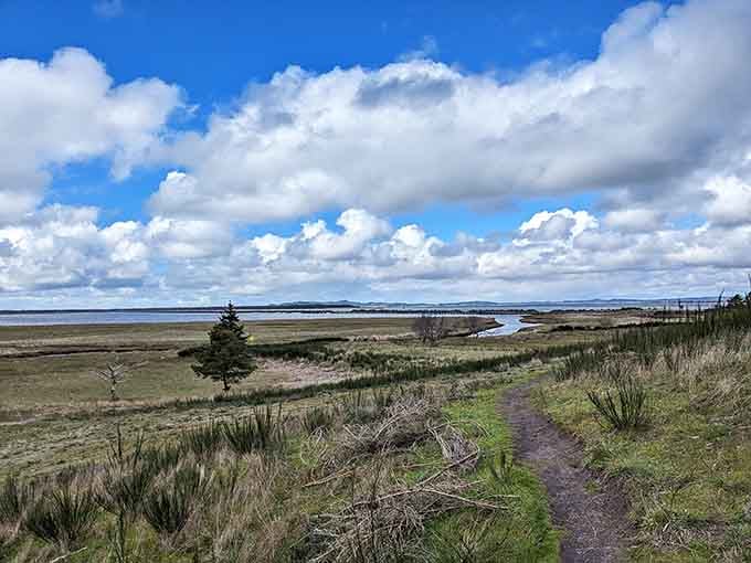 Wide open coastal trails lead through dune grass toward beaches that seem to go on forever.