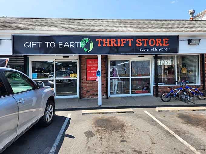 That "Sustainable planet" tagline reminds us that thrifting isn't just smart budgeting&mdash;it's saving the world one vintage lamp at a time.