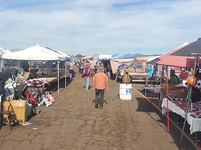 Morning light casts long shadows across vendor booths filled with possibilities and unbeatable prices waiting to be discovered.