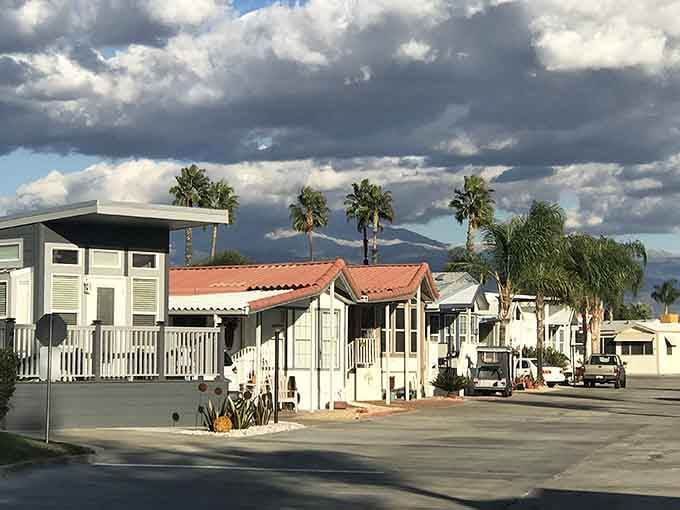 Palm trees frame mobile homes with mountain views that remind you why people chase the California dream.