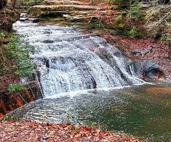 Fallen leaves carpet the banks while water cascades steadily downward, painting autumn in motion.