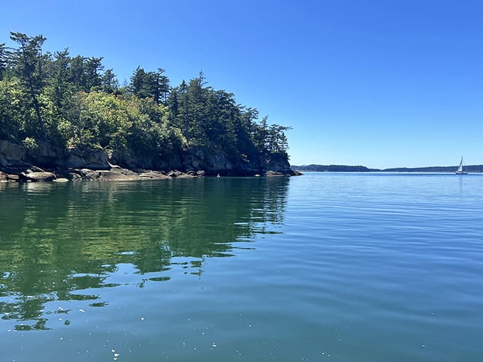 Crystal-clear water meets rocky shores where trees cling to cliffs like they're auditioning for a nature documentary.