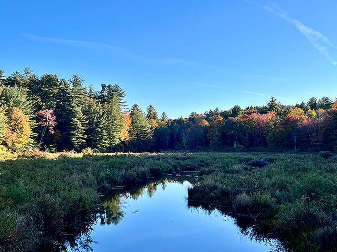 Mirror-perfect reflections double the autumn spectacle, where water becomes sky and trees paint themselves twice for your pleasure.