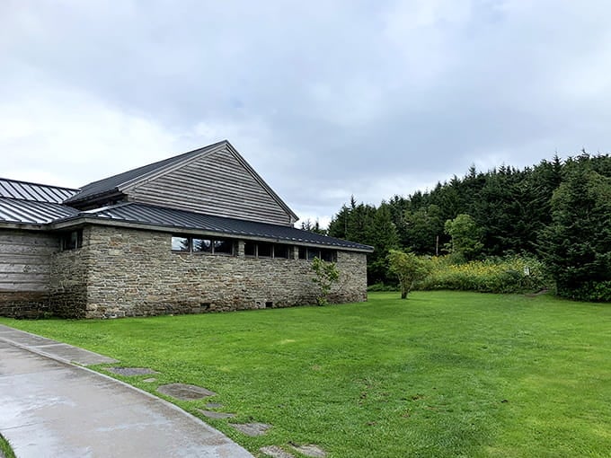 That mountain visitor center sits nestled among evergreens, looking like Frank Lloyd Wright decided to design a cozy wilderness retreat.