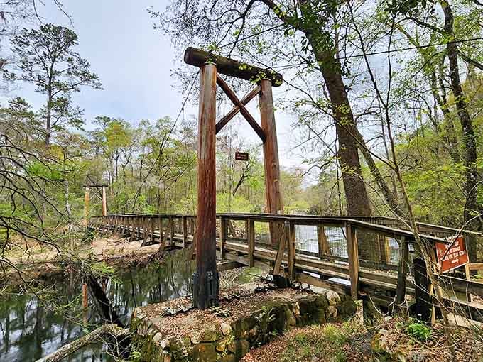 This rustic suspension bridge over dark water looks like something from an Indiana Jones movie, minus the danger.