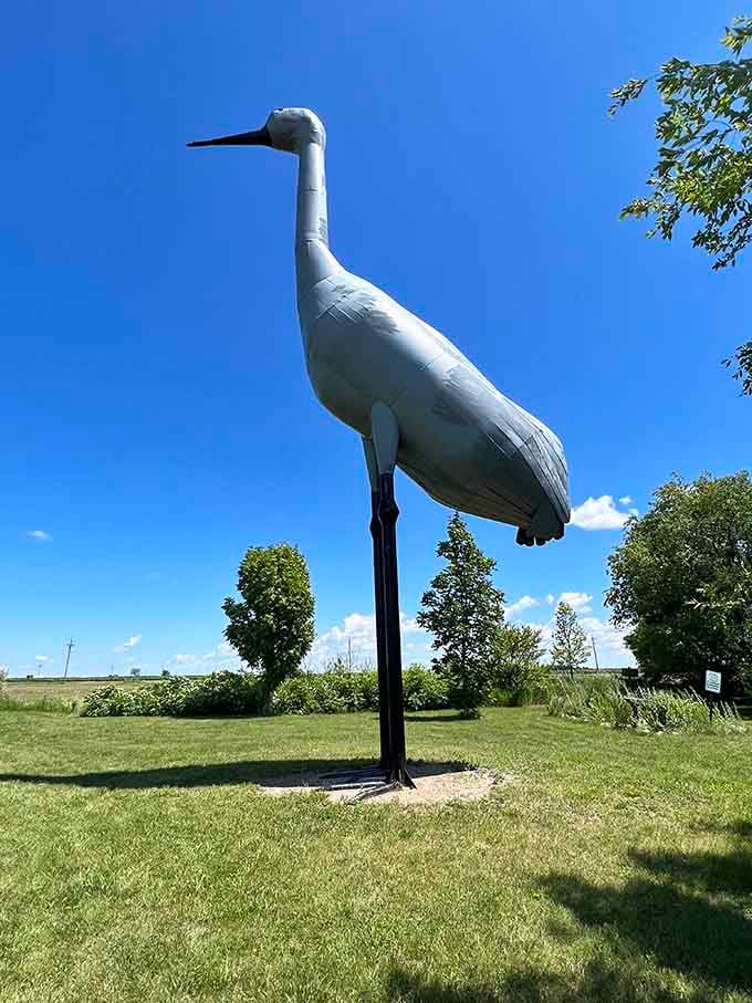 Sandy stretches her elegant neck skyward, a fiberglass tribute to the majestic sandhill cranes that visit North Dakota.