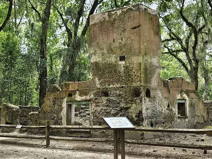 Nature's reclaiming what humans built—tabby walls standing defiant while vines write their own chapter in this story.
